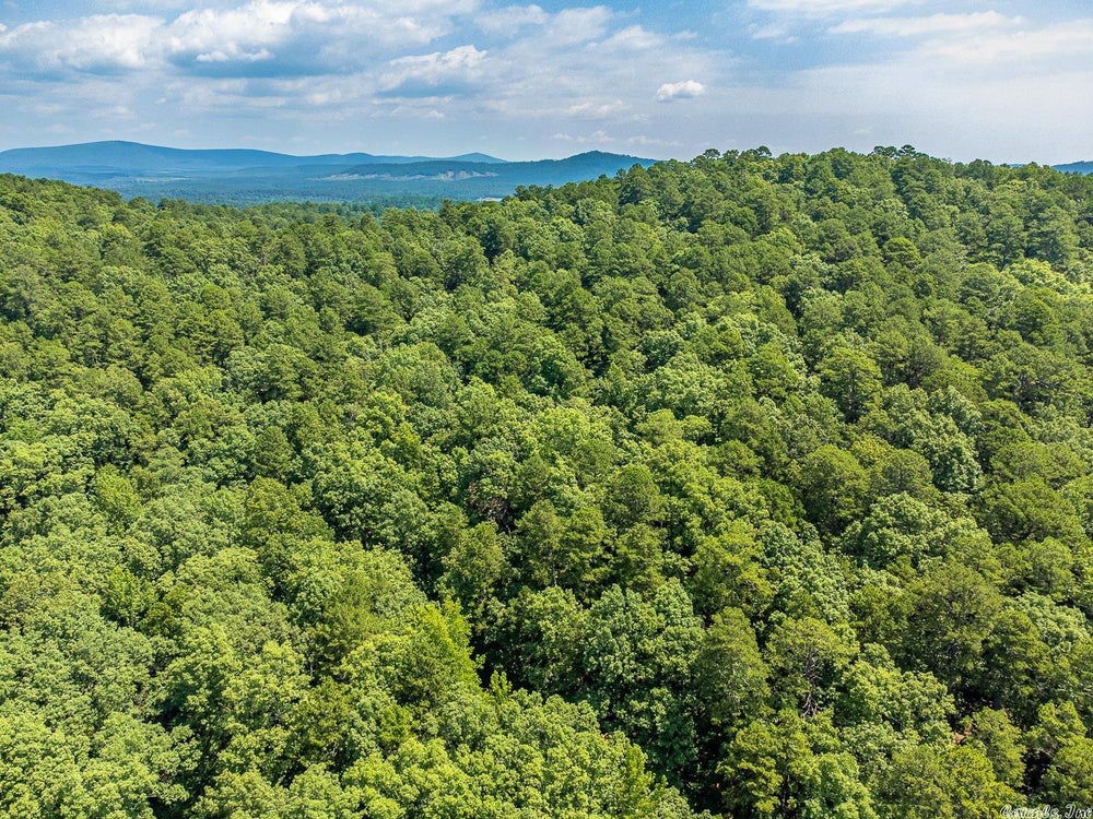 Address Withheld By Seller, Hot Springs Village, AR 71909 - ERA