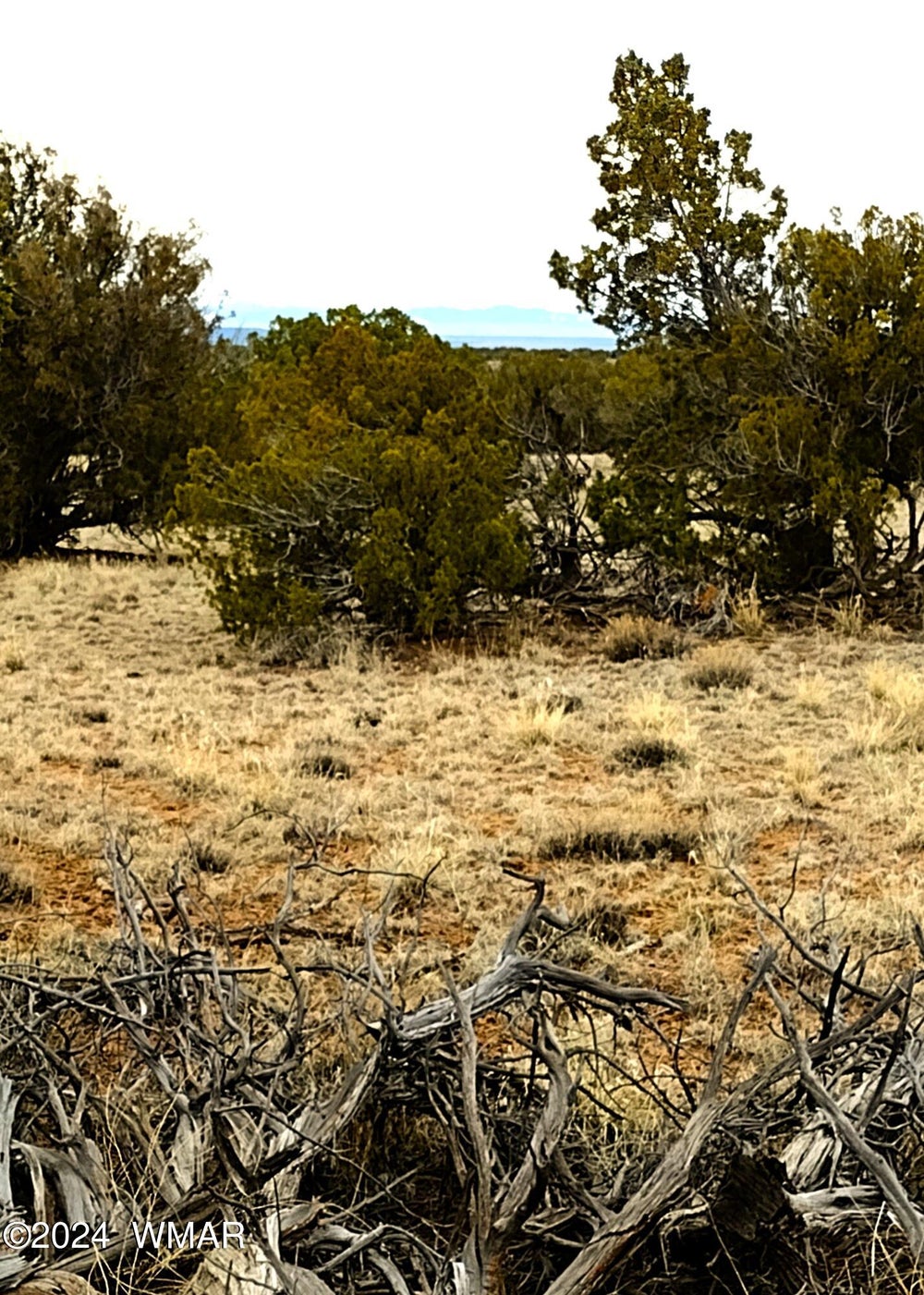 Lot 221 Woodland Valley Ranch #2, St. Johns, AZ 85936 - ERA