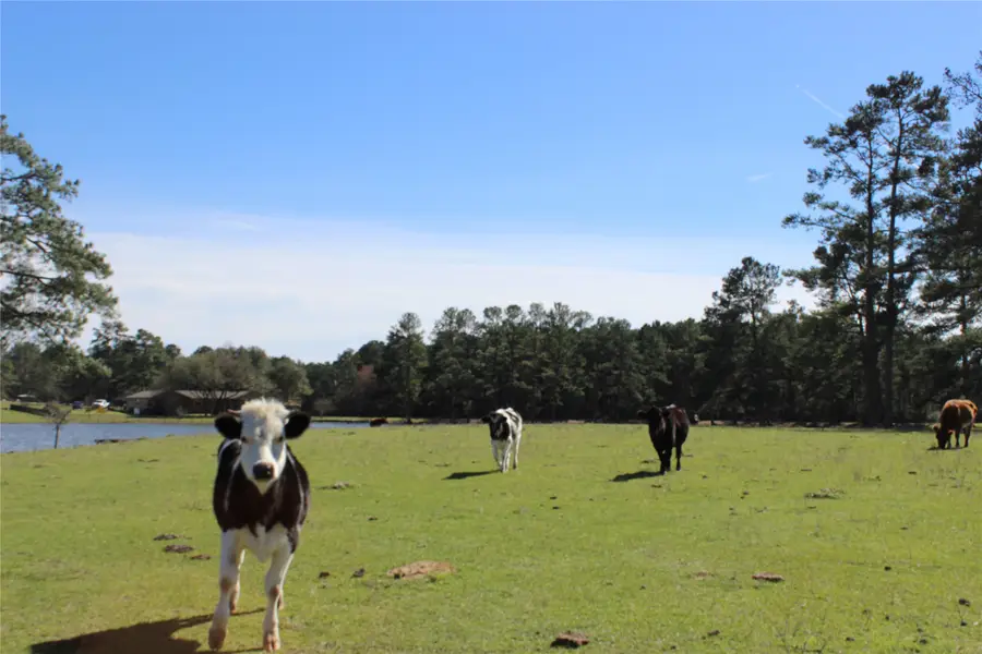 28335 Riley Road, Waller, TX 77484 | Move Up with ERA