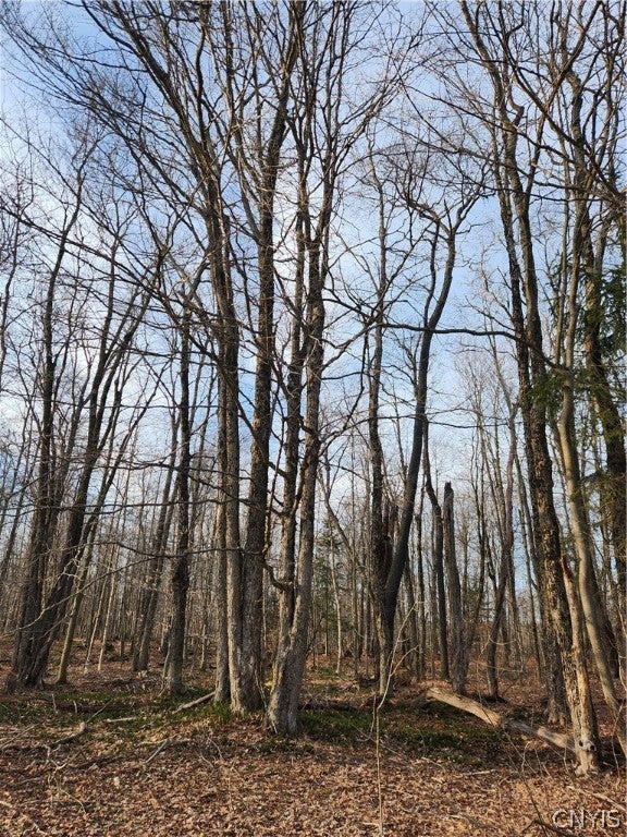 00000 Jess Drive, Redfield, NY 13437 - ERA