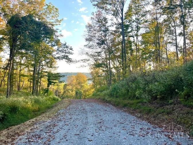 1171 Ginger Ridge Road, Sprigg Twp, OH 45144 - ERA