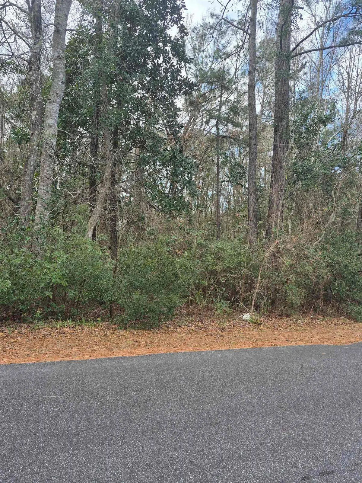 Lot 3 Third Ave., Georgetown, SC 29440 | Move Up with ERA